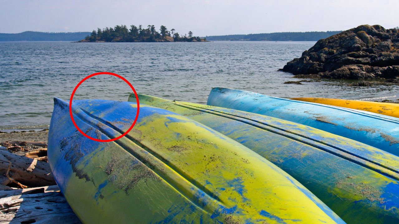 What Is Oil Canning Kayak & How to Fix?